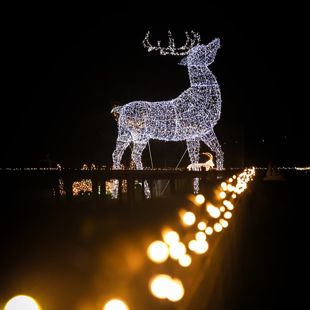 Festive Farm Light Trail - Attwell Farm Park